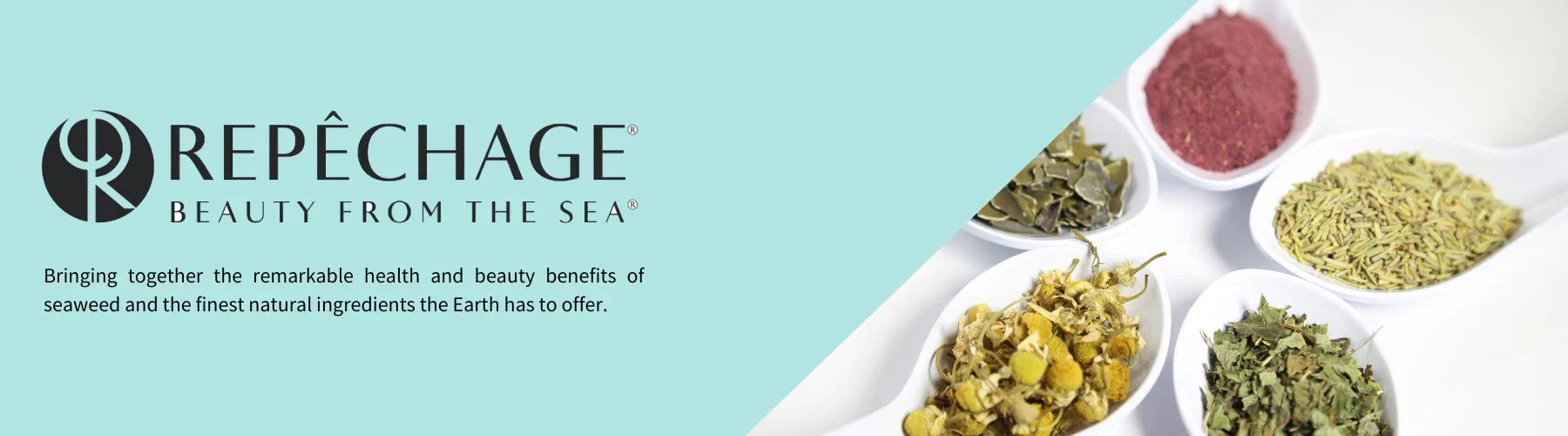 REPECHAGE SKIN CARE – Page 3 – PROBEAUTY Group